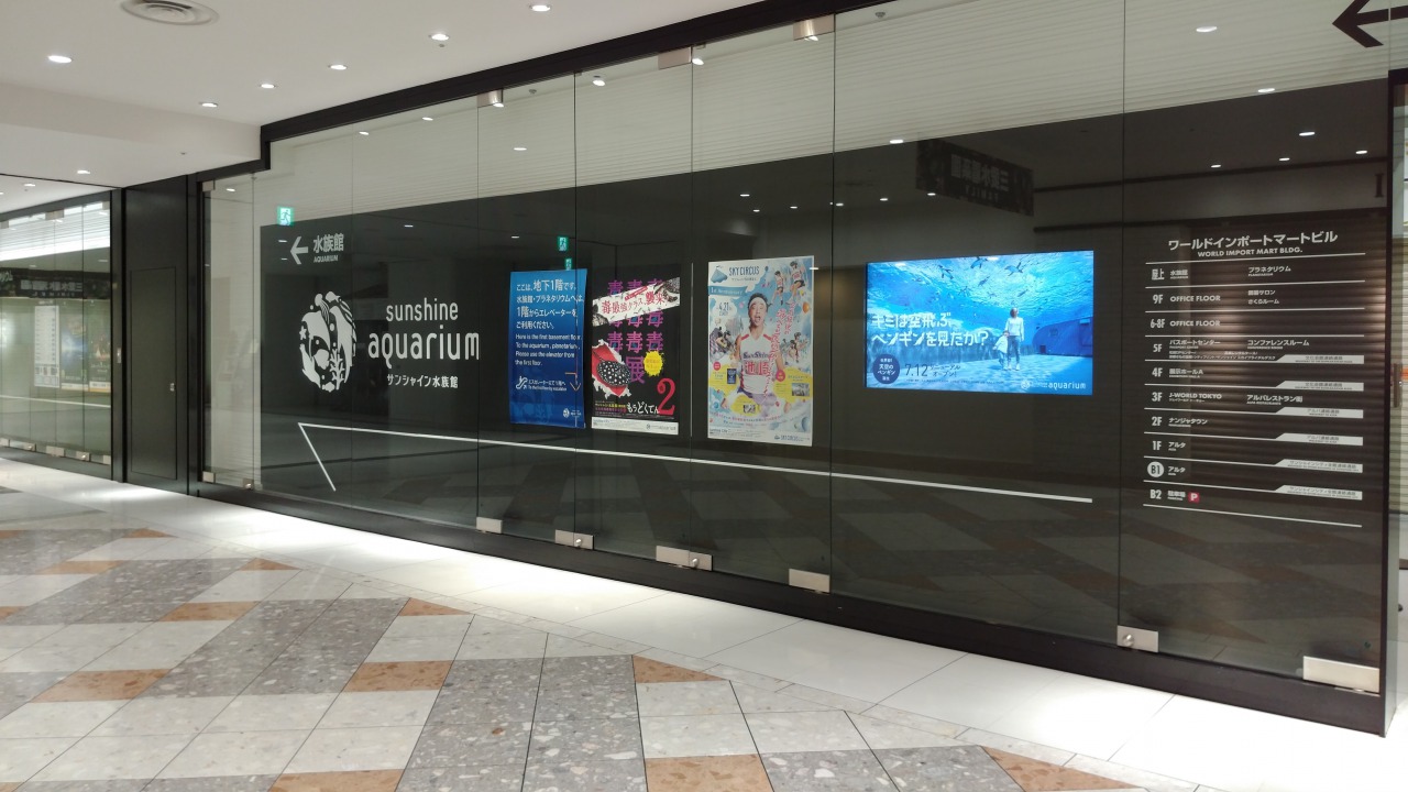 池袋最強デートスポットは「サンシャイン水族館」！社会人カップルは夜がおすすめ | cocoyuco!